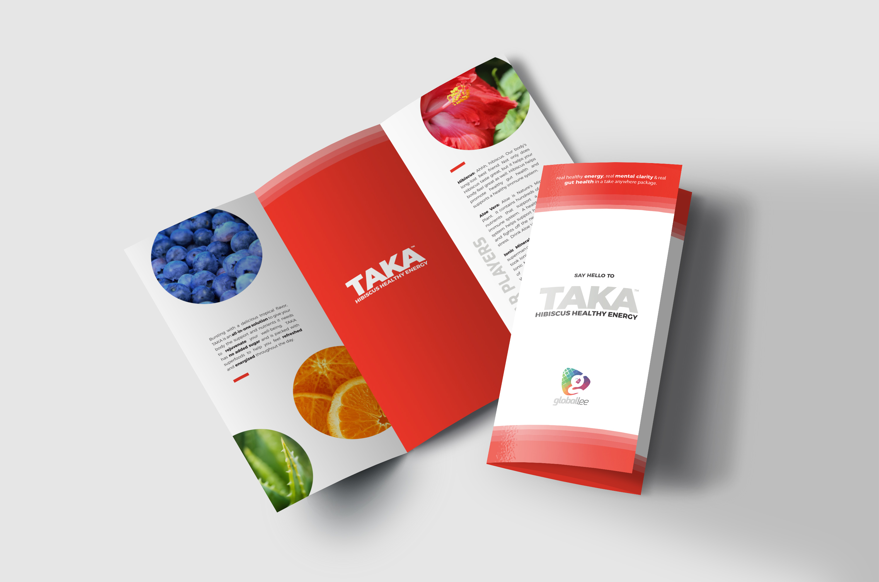Taka Brochure Trifold (2) | Globallee Training