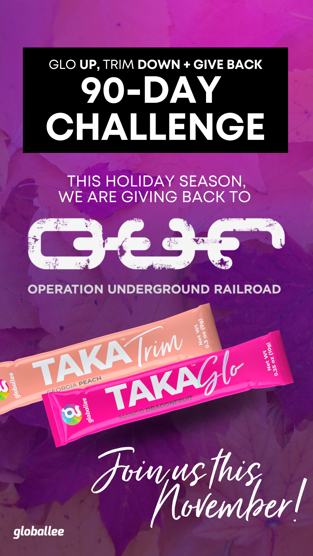 Oct 24-31 (3) | Globallee Training